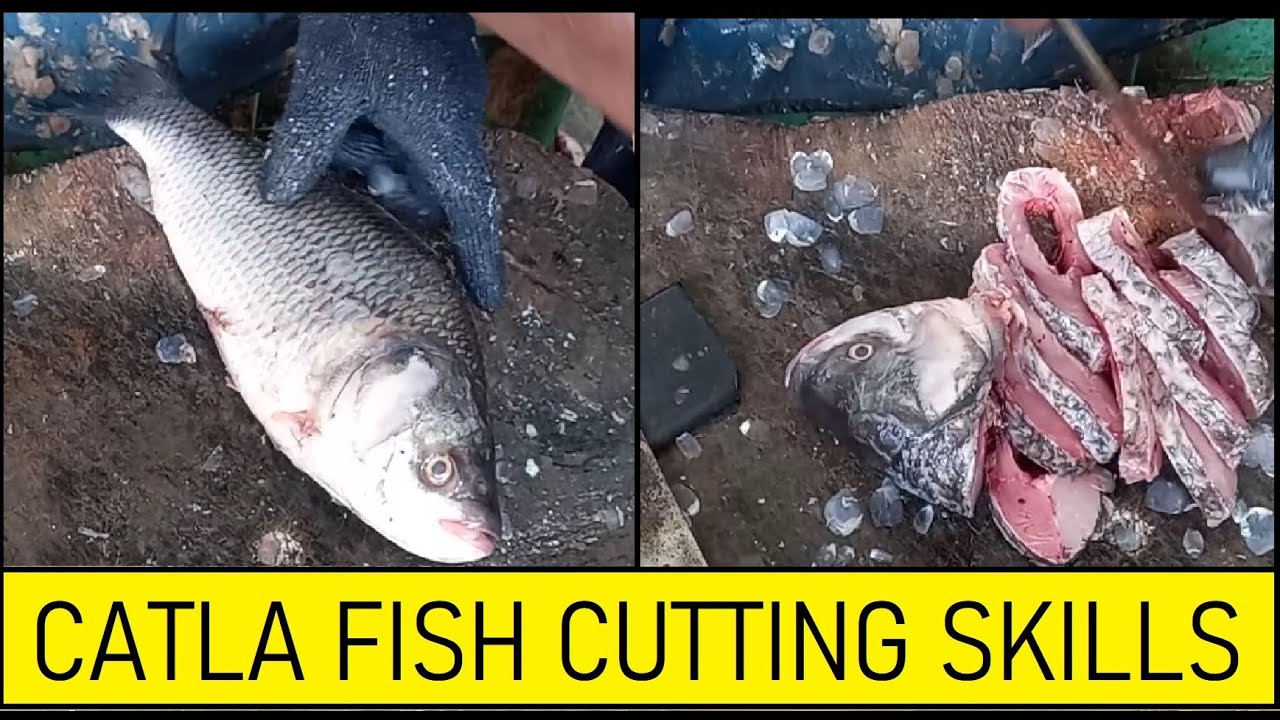Catla fish cutting skills / Indian Fish Market / Professional fish ...