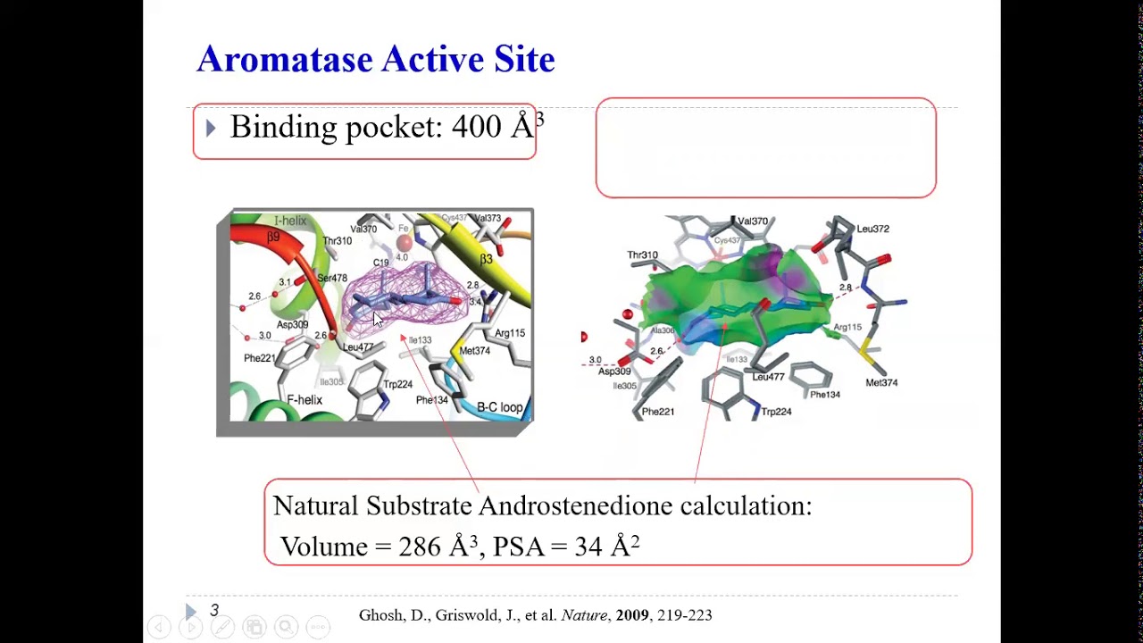 Calculation of Drug-like Properties and Lipinski's Rule of Five - YouTube