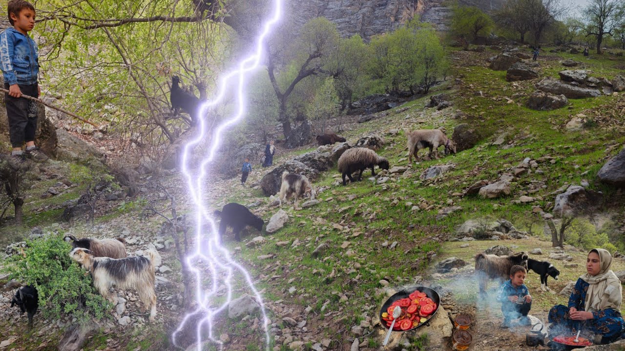 Nomadic Life: Nomadic Shepherds on Rainy Days | The Beauty of the ...