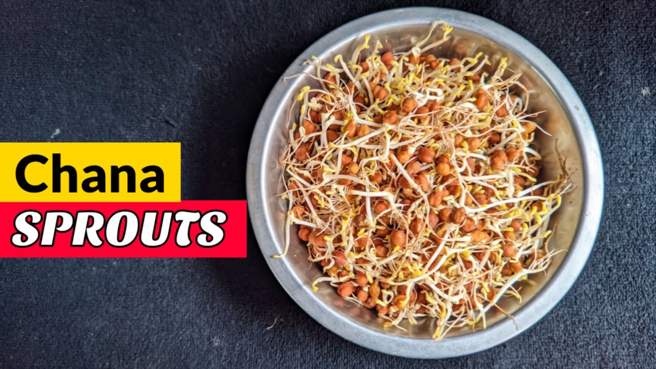 चना अंकुरित कम से कम समय में कैसे बनायें | How To Grow/Make Chana ...