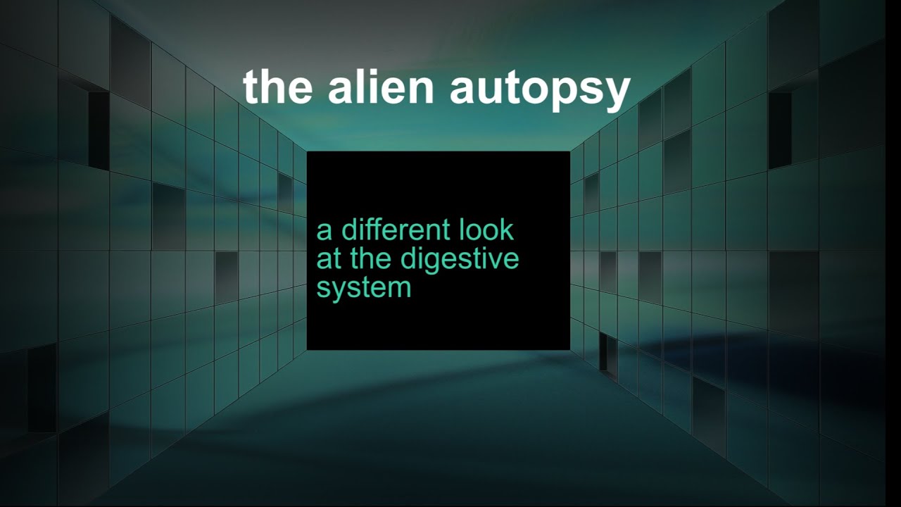 Alien autopsy: a different look at the digestive system - YouTube