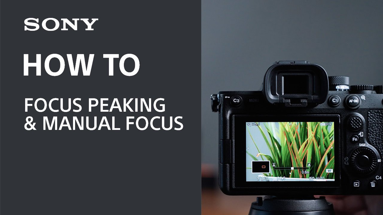 Using Focus Peaking on your Sony Camera - YouTube