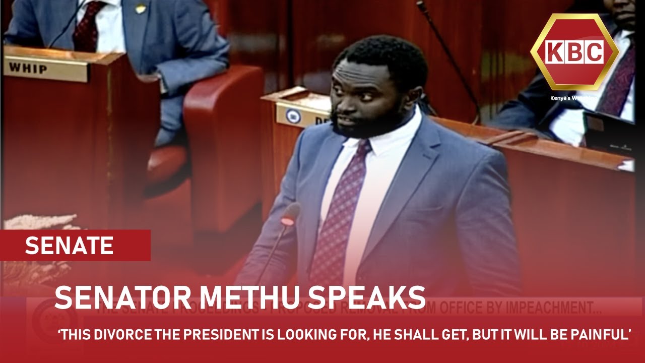 Methu : This divorce that the President is looking for, he shall get it, but it will be painful ...