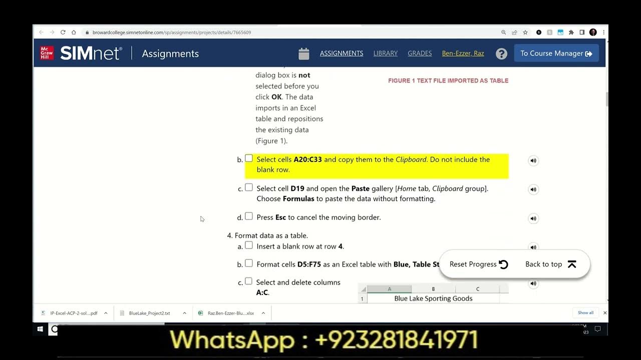 SIMnet Excel Capstone - YouTube
