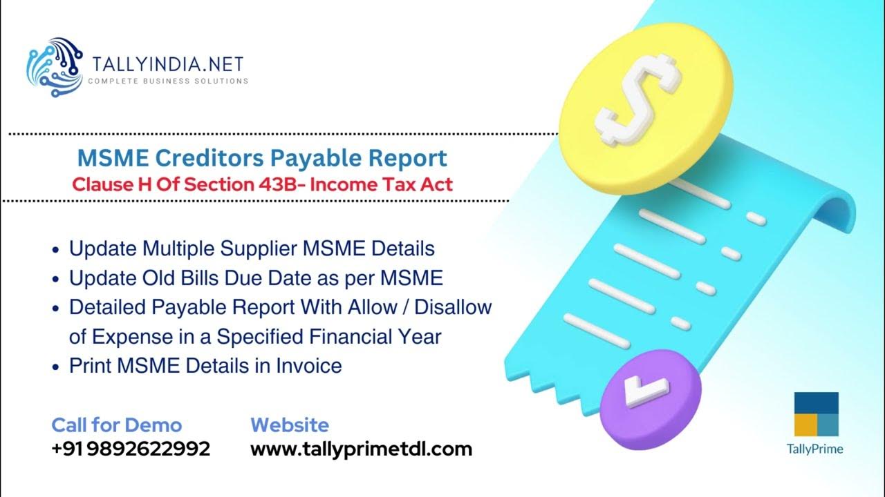 MSME-Creditors Payable Report in Tally Prime - YouTube