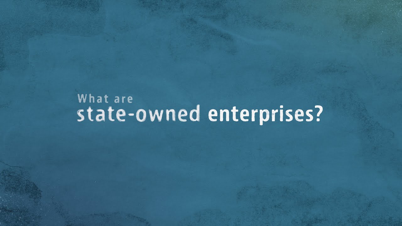 What can governments do to help state-owned enterprises lead by example ...