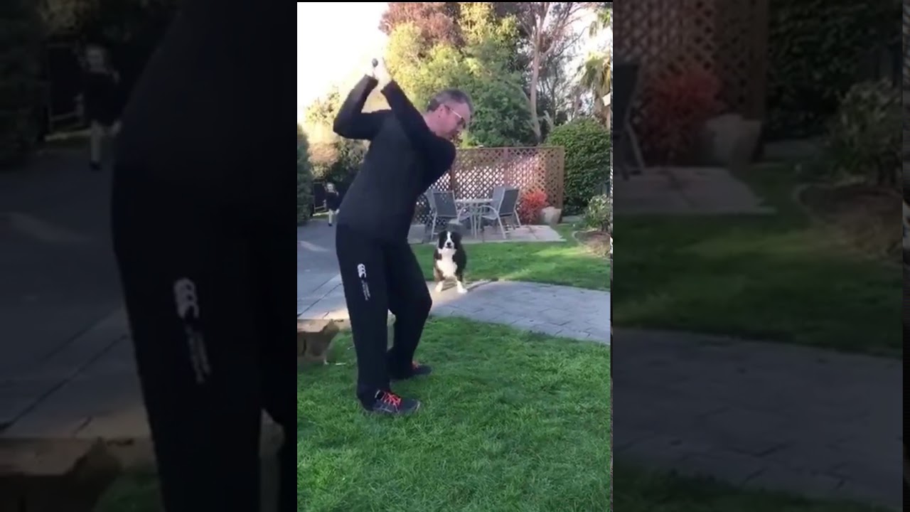 Man hits cat with golf club - YouTube