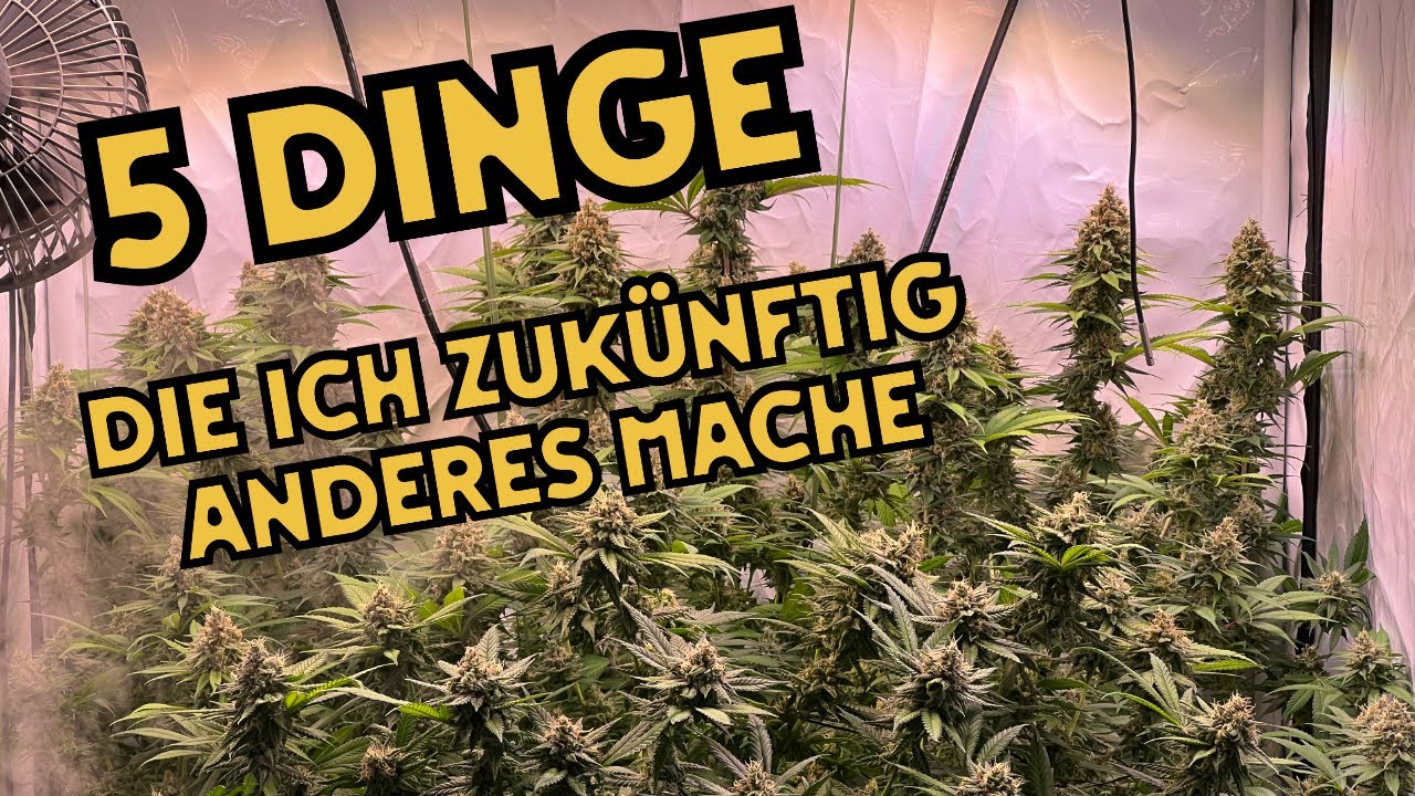 DAS würde ich dieses Mal anders machen! - YouTube