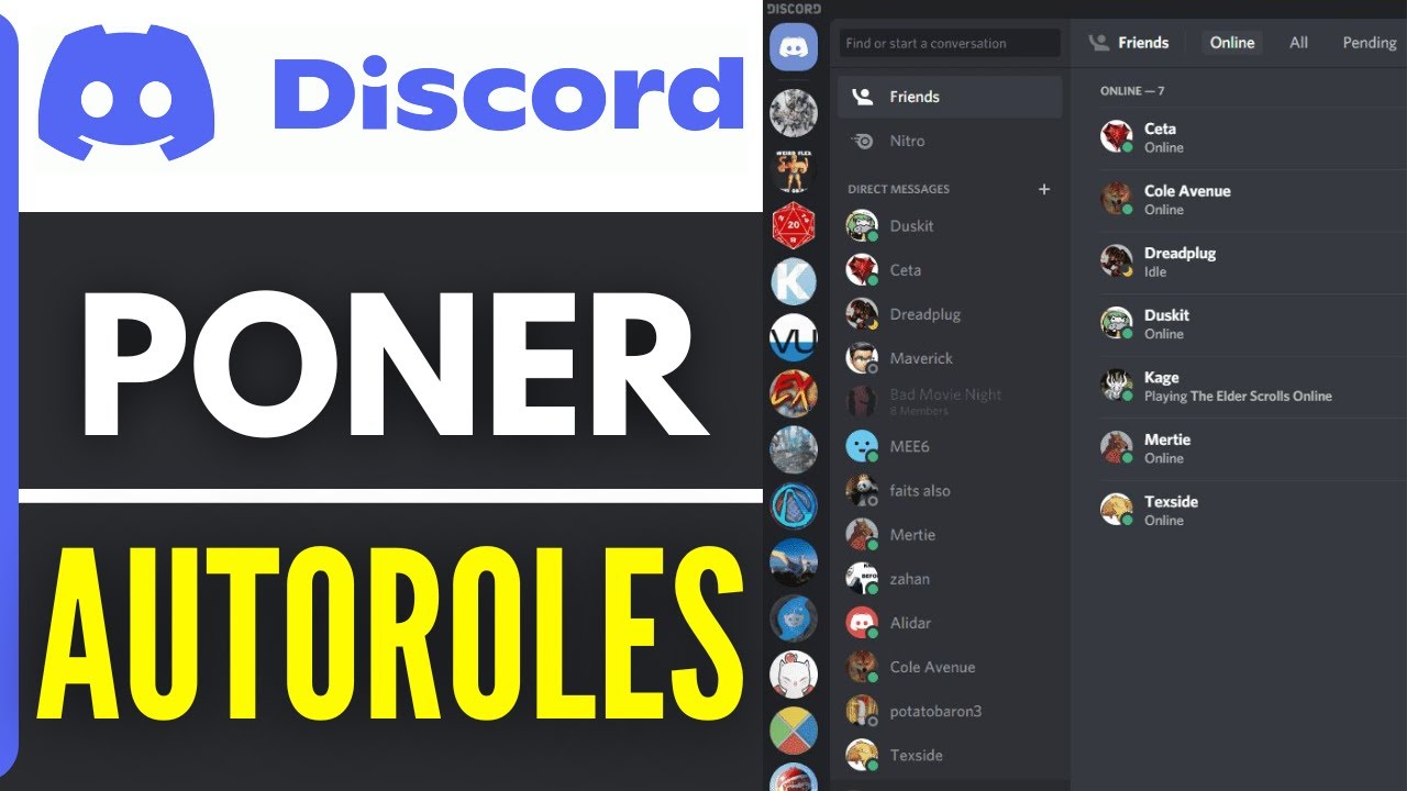 Como Poner AutoRoles Discord (Guia Completo 2026) - YouTube