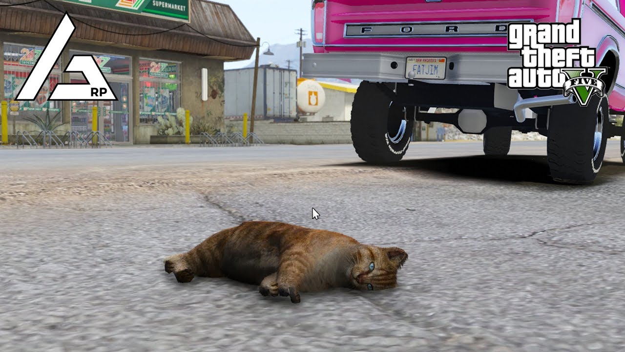 GTA 5 Roleplay - ARP - #173 - Kitty Run Over! - YouTube