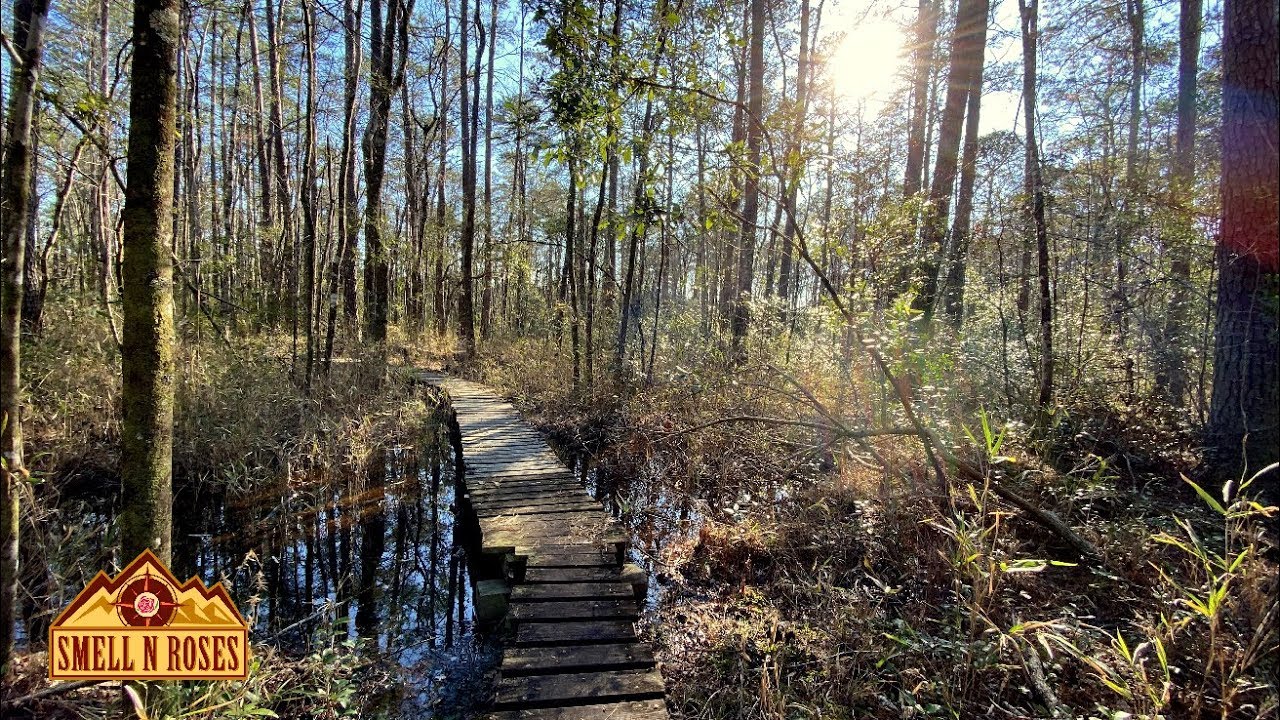 Neusiok Trail Solo Backpacking Croatan National Forest NC - YouTube