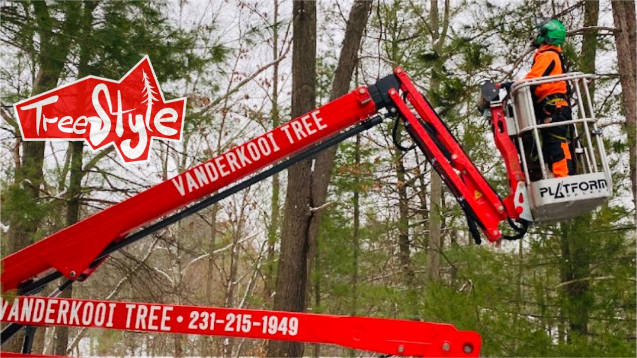 Vanderkooi Tree Service Anthem - TreeStyle Rap - YouTube