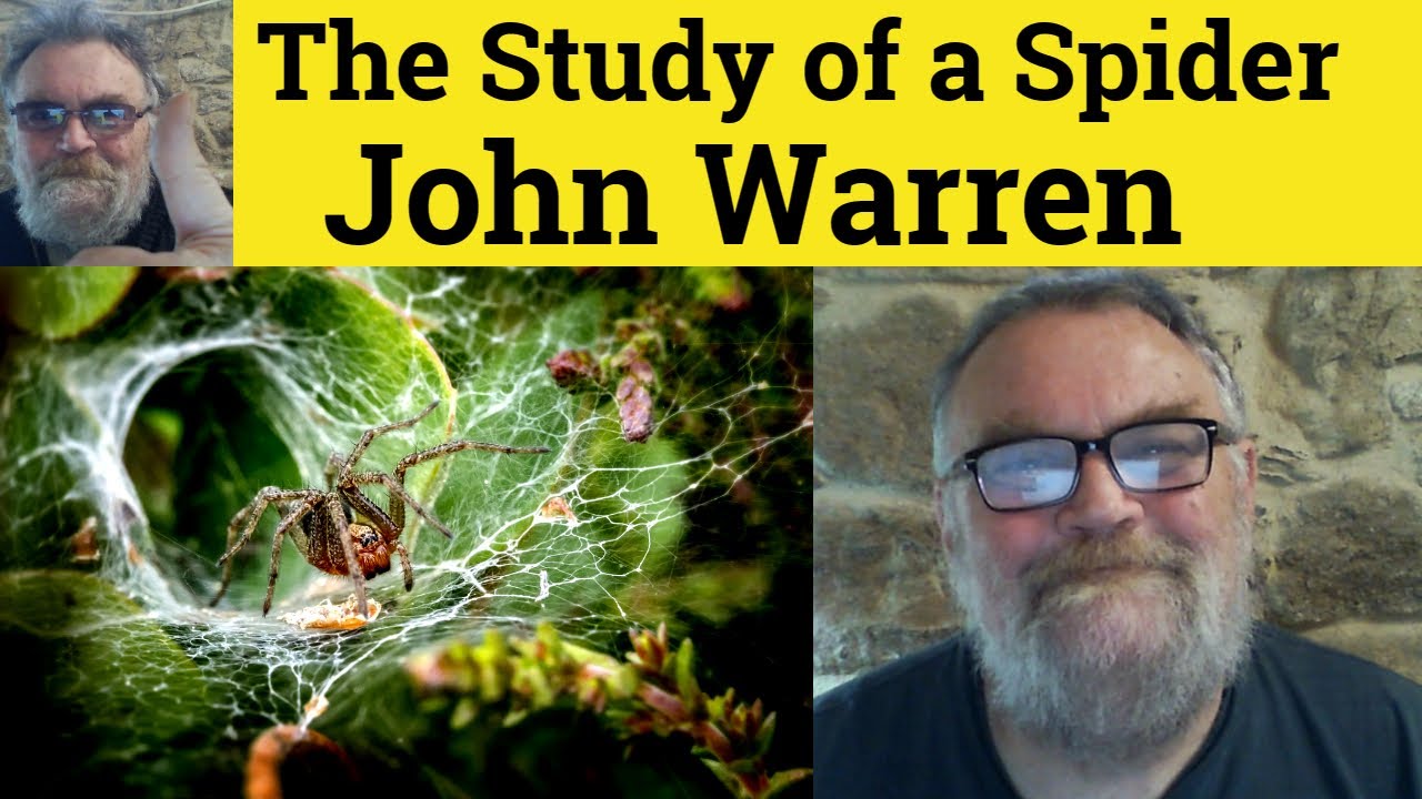 😎 The Study Of A Spider by John Warren Summary - The Study Of A Spider ...