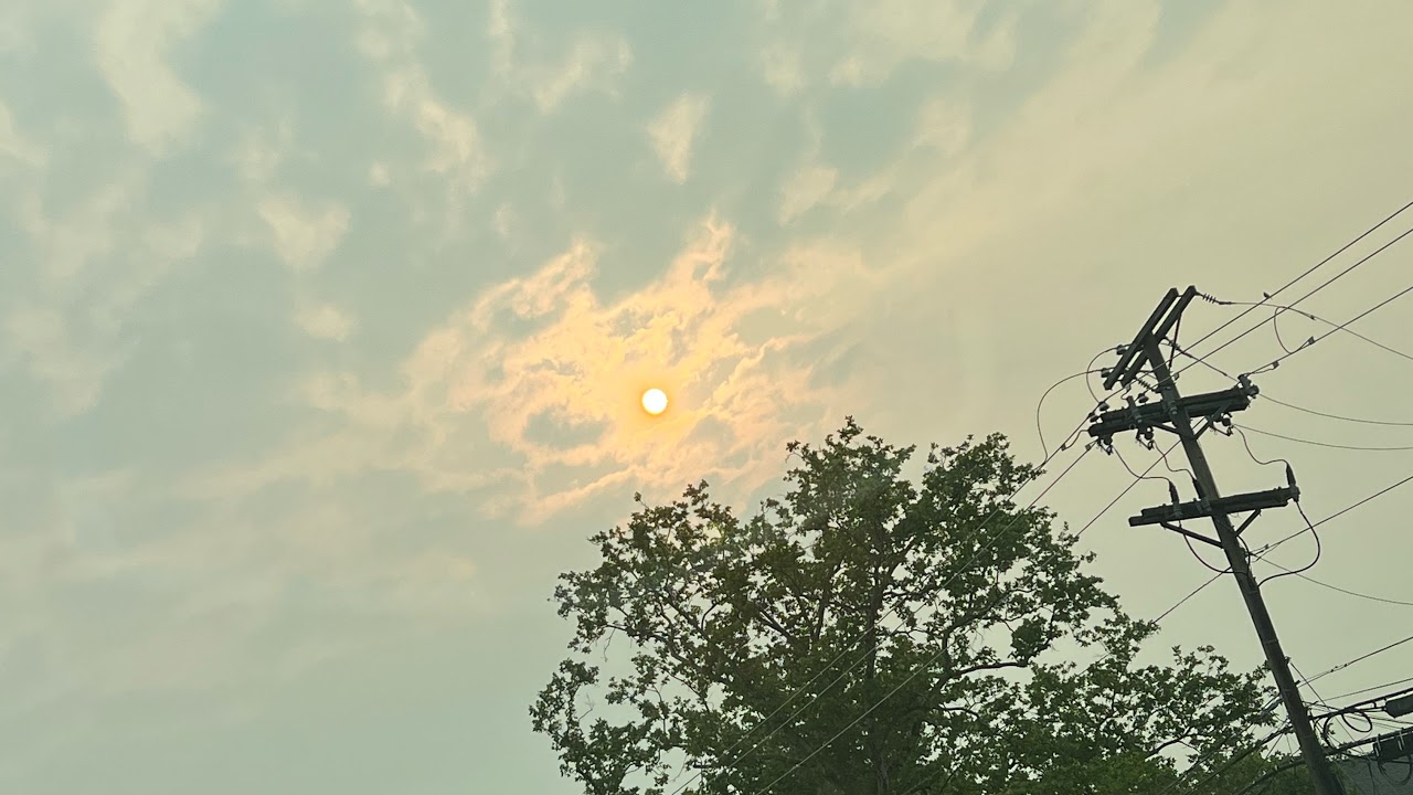 Shane El Live Stream - YouTube