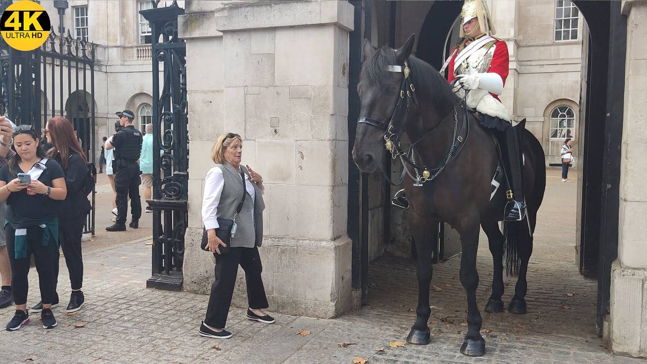 Tourist Is Hesitant To Approach The Queen's Horse For A Photo - YouTube