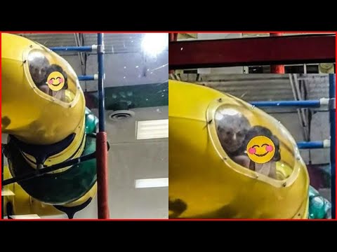 Amigo Imaginario de una Niña en Juegos de McDonald's