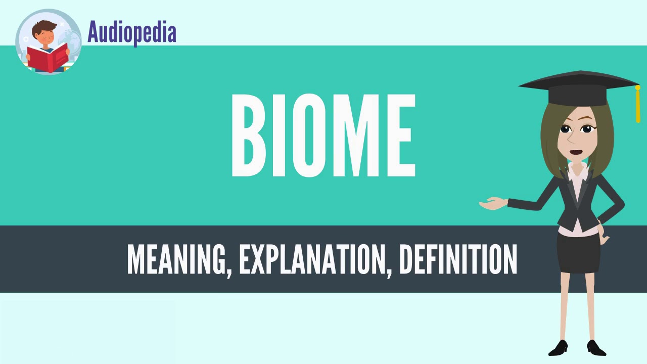 What Is BIOME? BIOME Definition & Meaning - YouTube