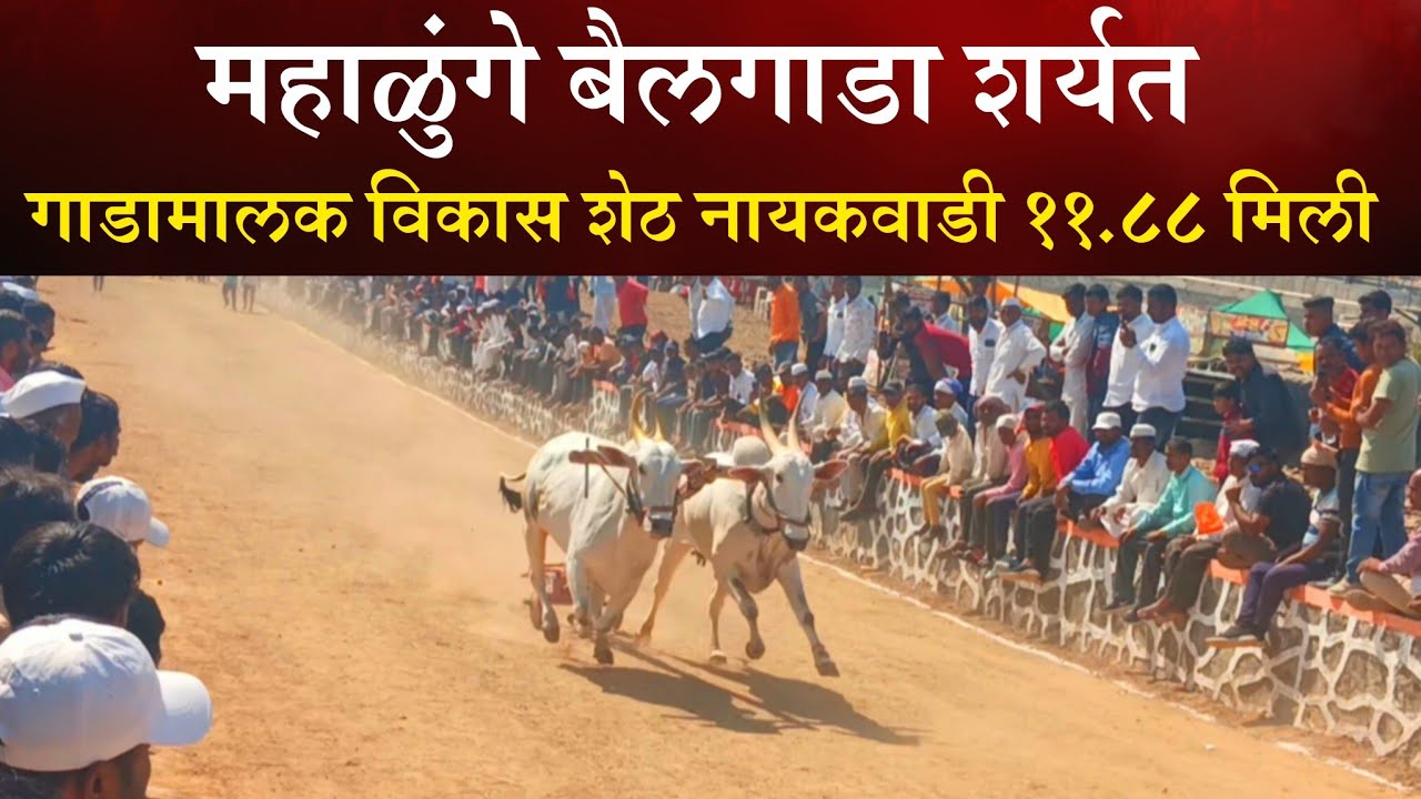 प्रसिद्ध गाडामालक सरपंच विकासशेठ नायकवाडी ११.८८ मिली | mahalunge ...