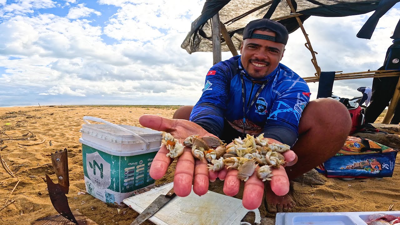PEGANDO TATUI E FRITANDO NA BEIRA DA PRAIA SABOR SURPEENDENTE - YouTube
