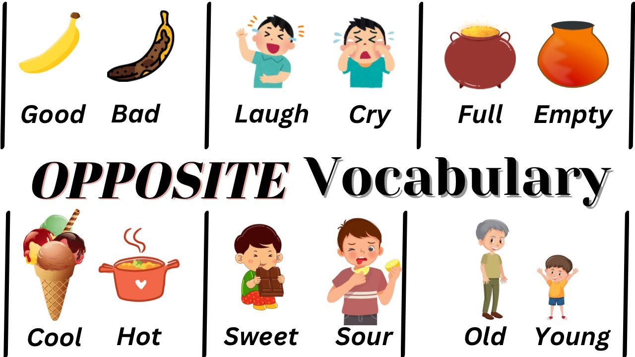 Opposite words || opposite vocabulary || opposite words in English ...