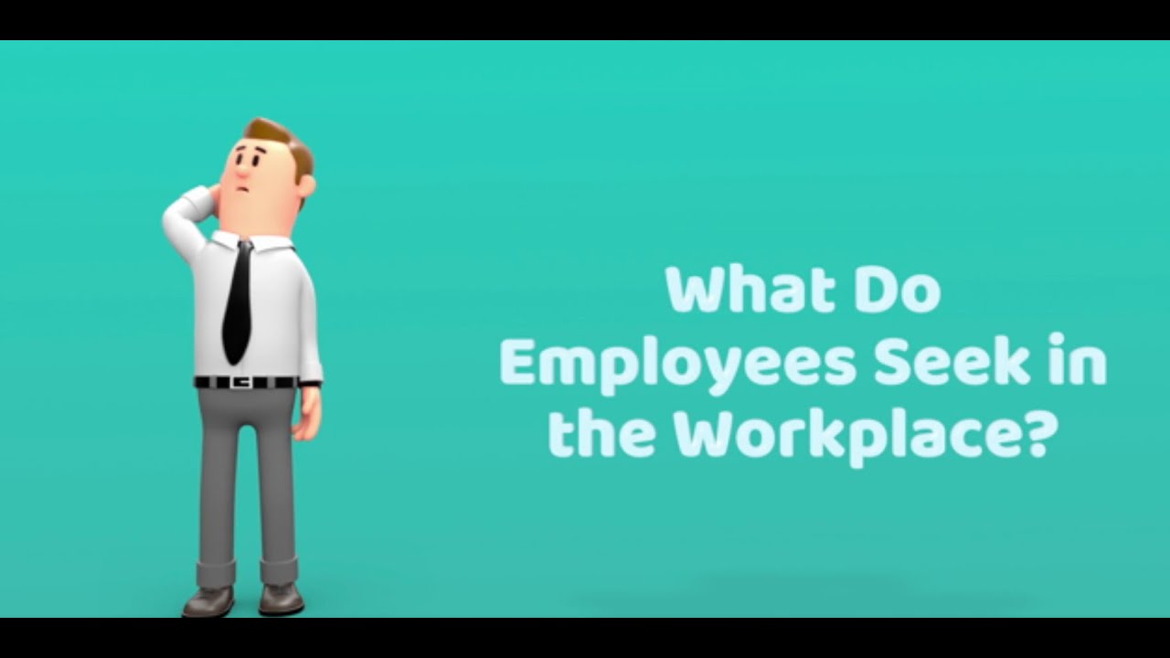 What do Employees Seek in the Workplace? - YouTube