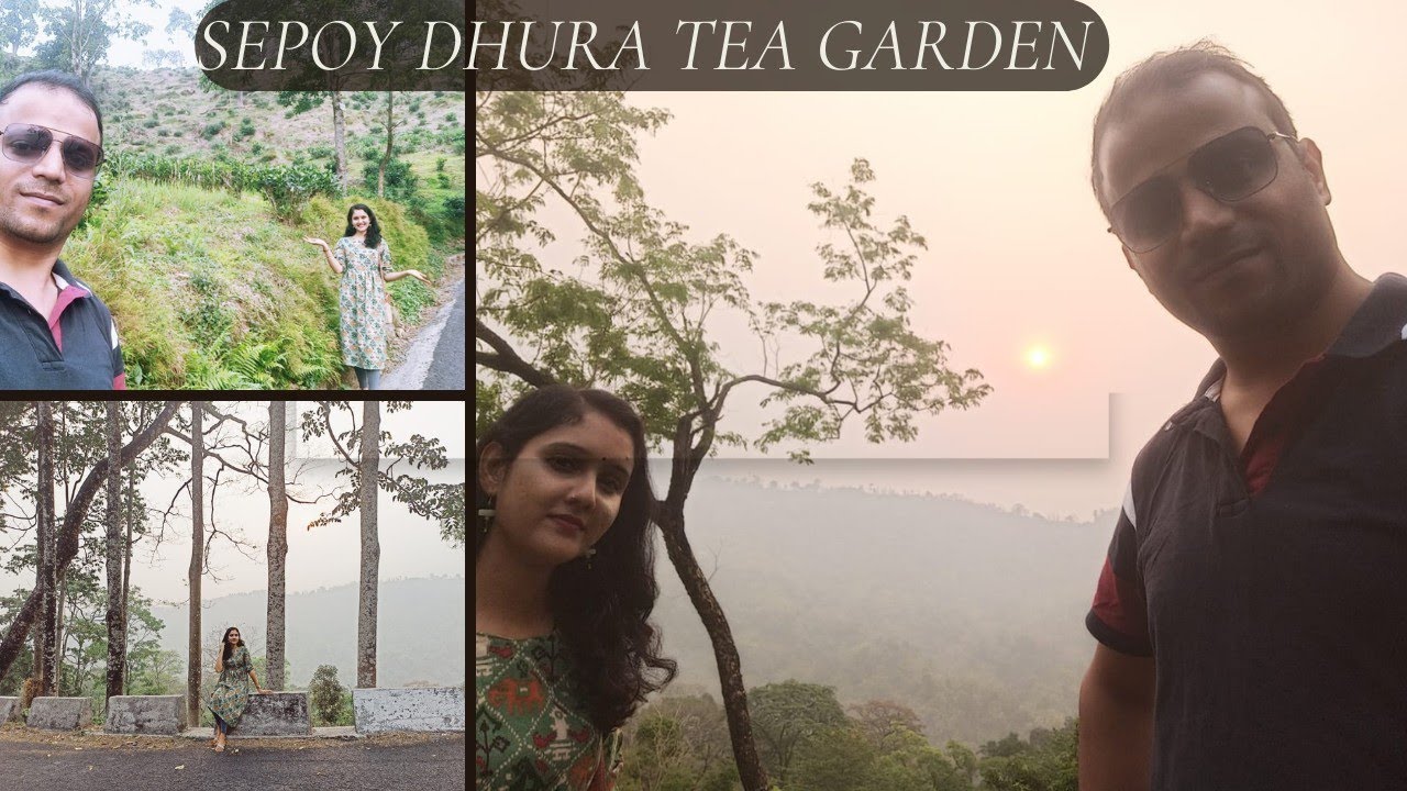 Sepoy Dhura Tea Garden / Rongtong and Tindharia View Point - YouTube