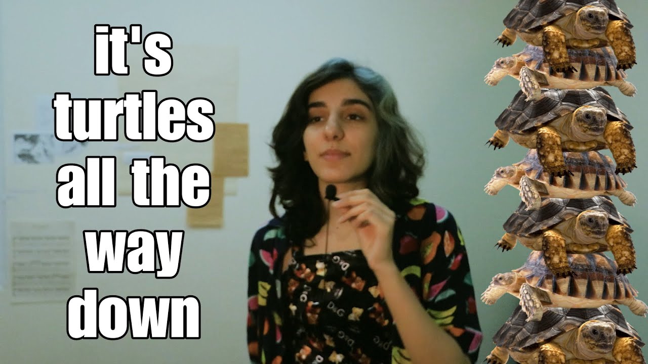 hyper self-awareness and turtles - YouTube