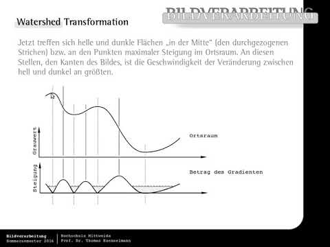 9.2 Bildverarbeitung: Segmentierung mit Watershed Transform - YouTube