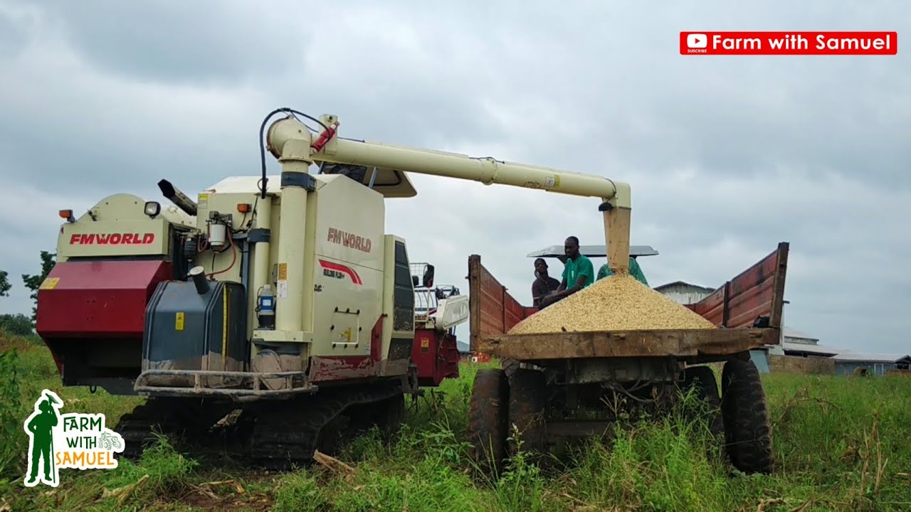 Efficiency in Maize Harvesting: Unleashing the Potential of FM World ...