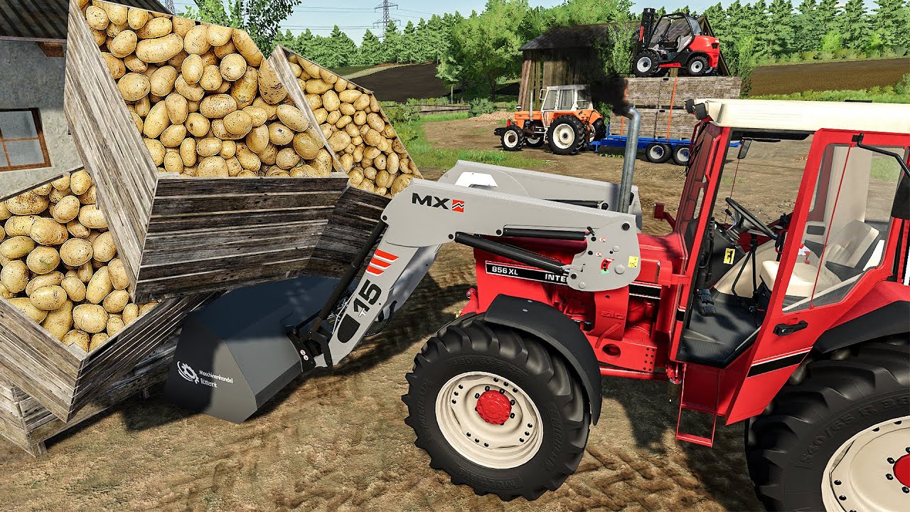 Crate potatoes ! Small tractors and Forklift loader | Farm work ...