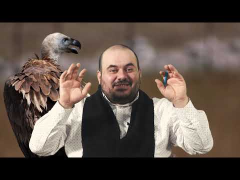 RÜYADA AKBABA GÖRMEK Esved Dini Rüya Tabirleri ve Yorumu Rüya Tabiri