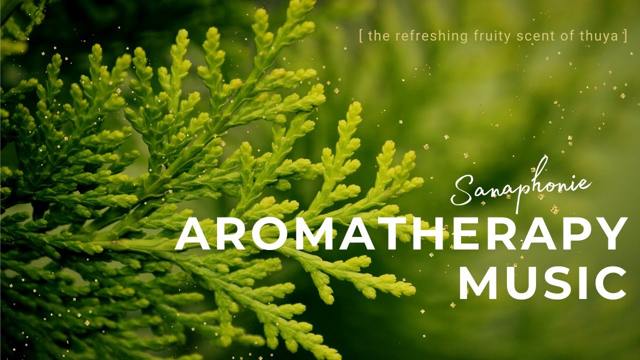 Aromatherapy Music - Thuja Essential Oil - Sanaphonie - YouTube