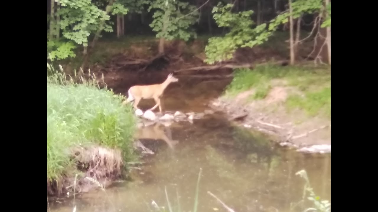 Combined Locks Nature Trail - YouTube