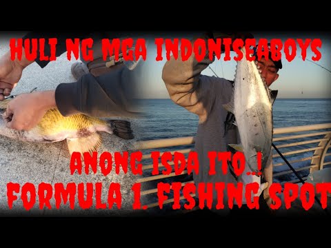 Anong Isda Ito...! - YouTube