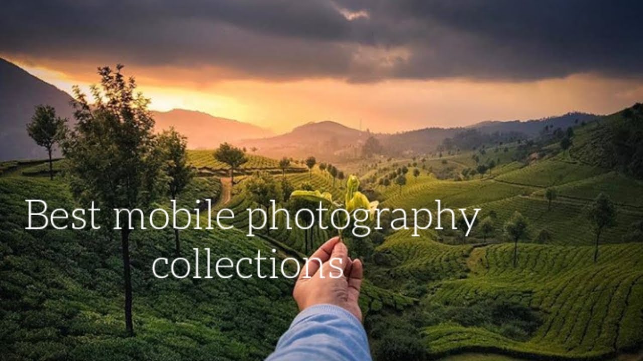 10 most amazing mobile photography | collections from Photography ...