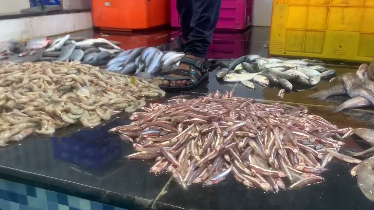 Medavakkam fish market - YouTube