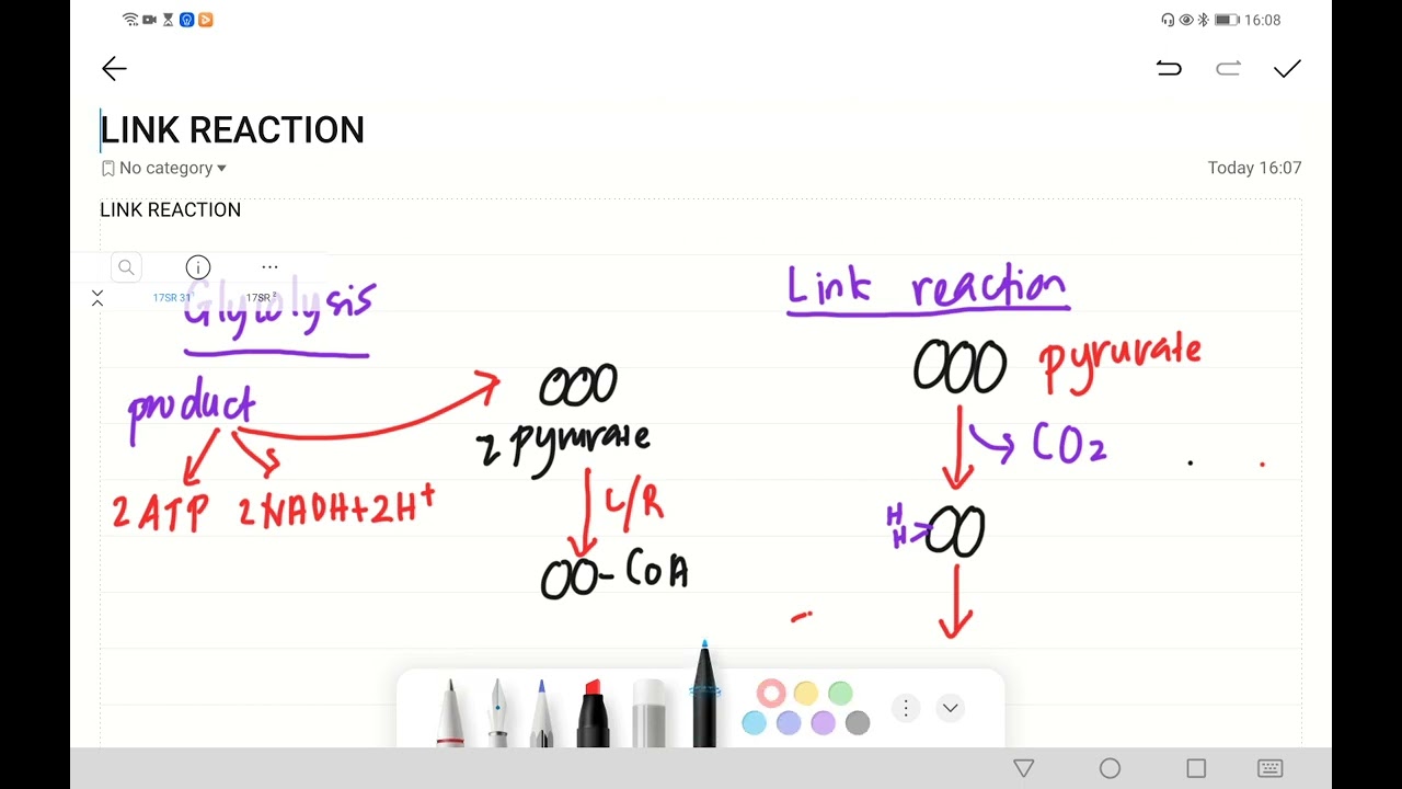 LINK REACTION - YouTube