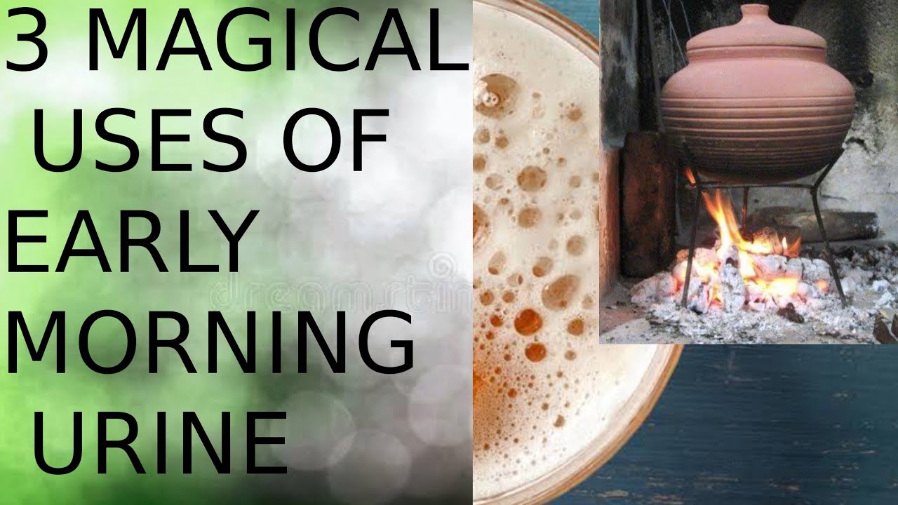 3 magical uses of early morning urine:breakthrough,favour,help, job ...