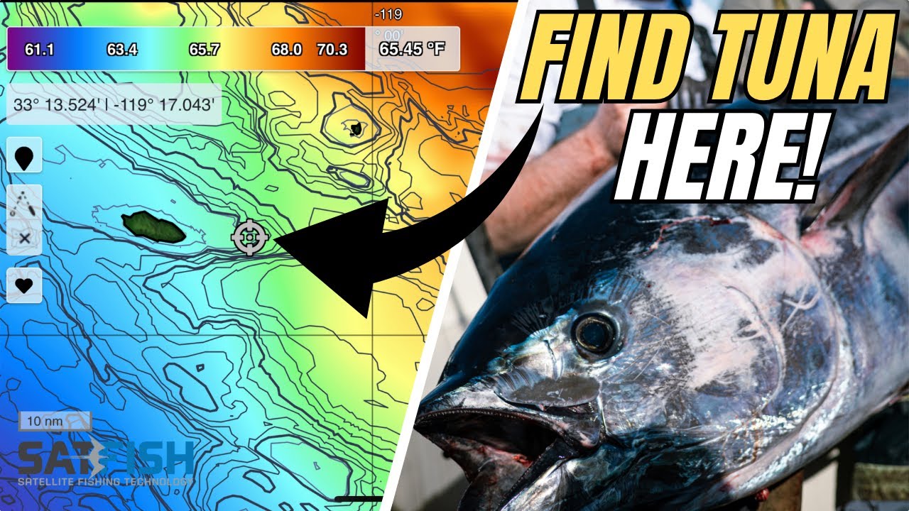 Find More Tuna Using Satellite Maps [Bluefin + Albacore] - YouTube