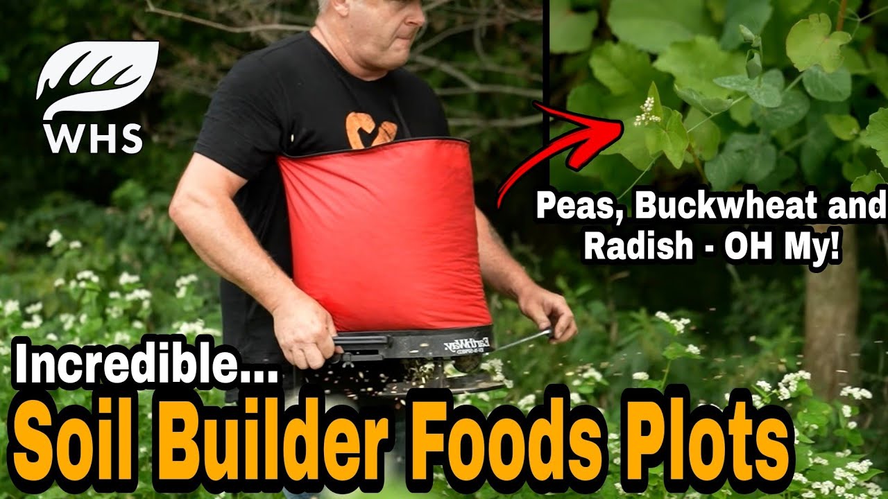 Best Soil Builder Food Plot Mix - YouTube