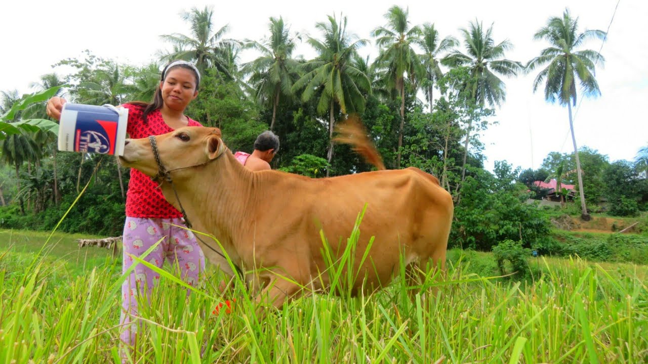 Simpleng Pamumuhay Sa Bukid - YouTube