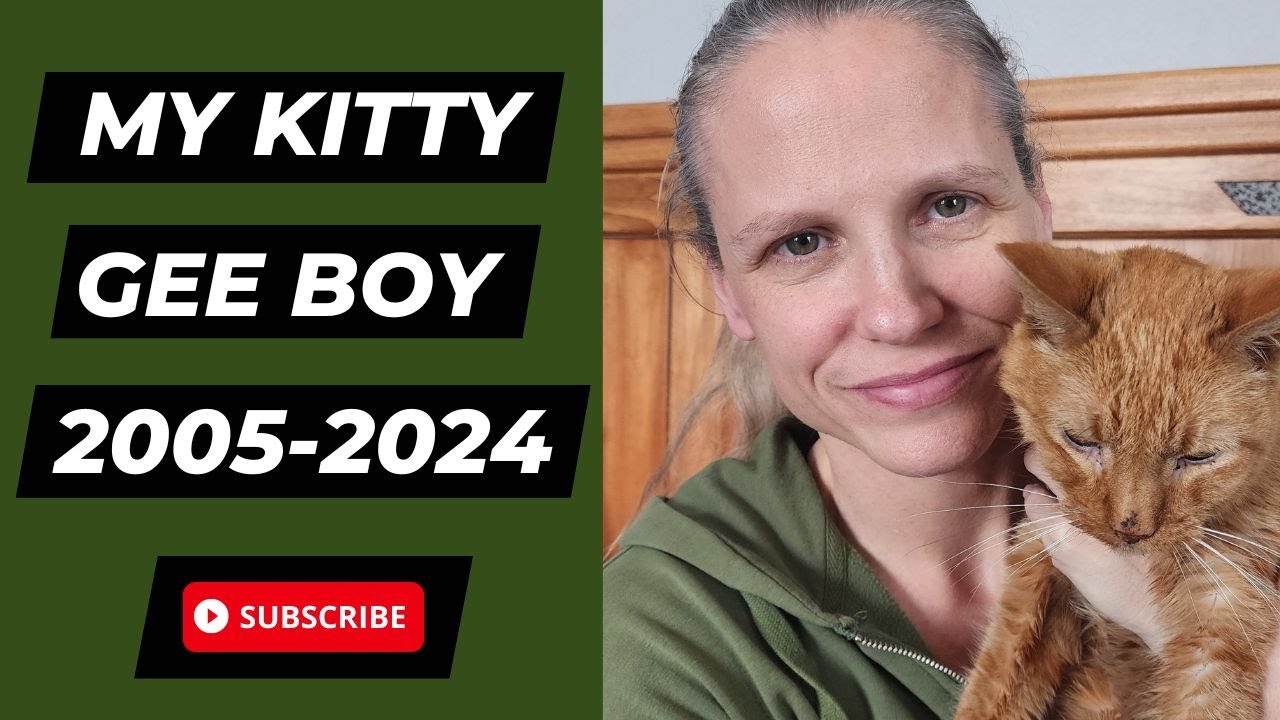 My Cat Gee Boy's Memorial Video - YouTube
