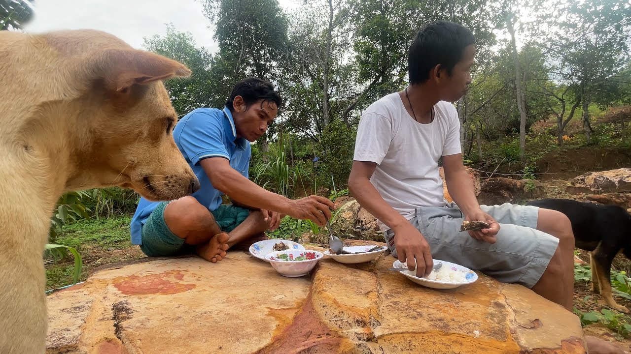 មានភ្លៀងទឹកសាបឡើងដេញទឹកប្រៃទៅសមុទ្រត្រីកង្កែបក្ដាមចេញមកដែរ HEAVY ...