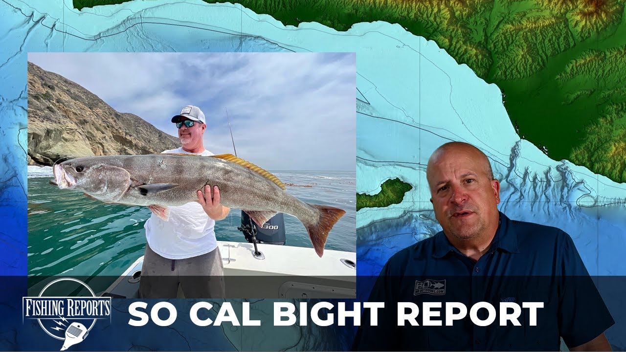 Southern California Bight FISHING REPORT 07/27/2022 - YouTube