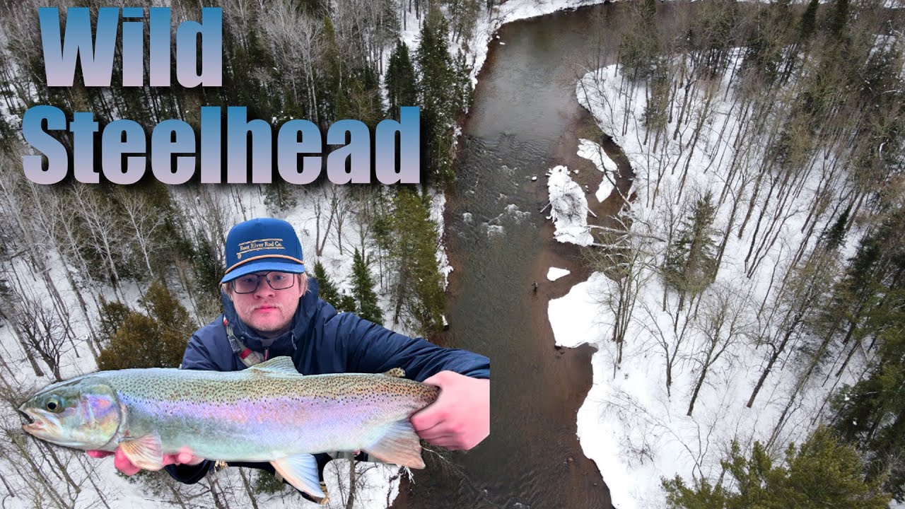 Wild Steelhead on the Fly ( Brule River Opener 2024 ) - YouTube