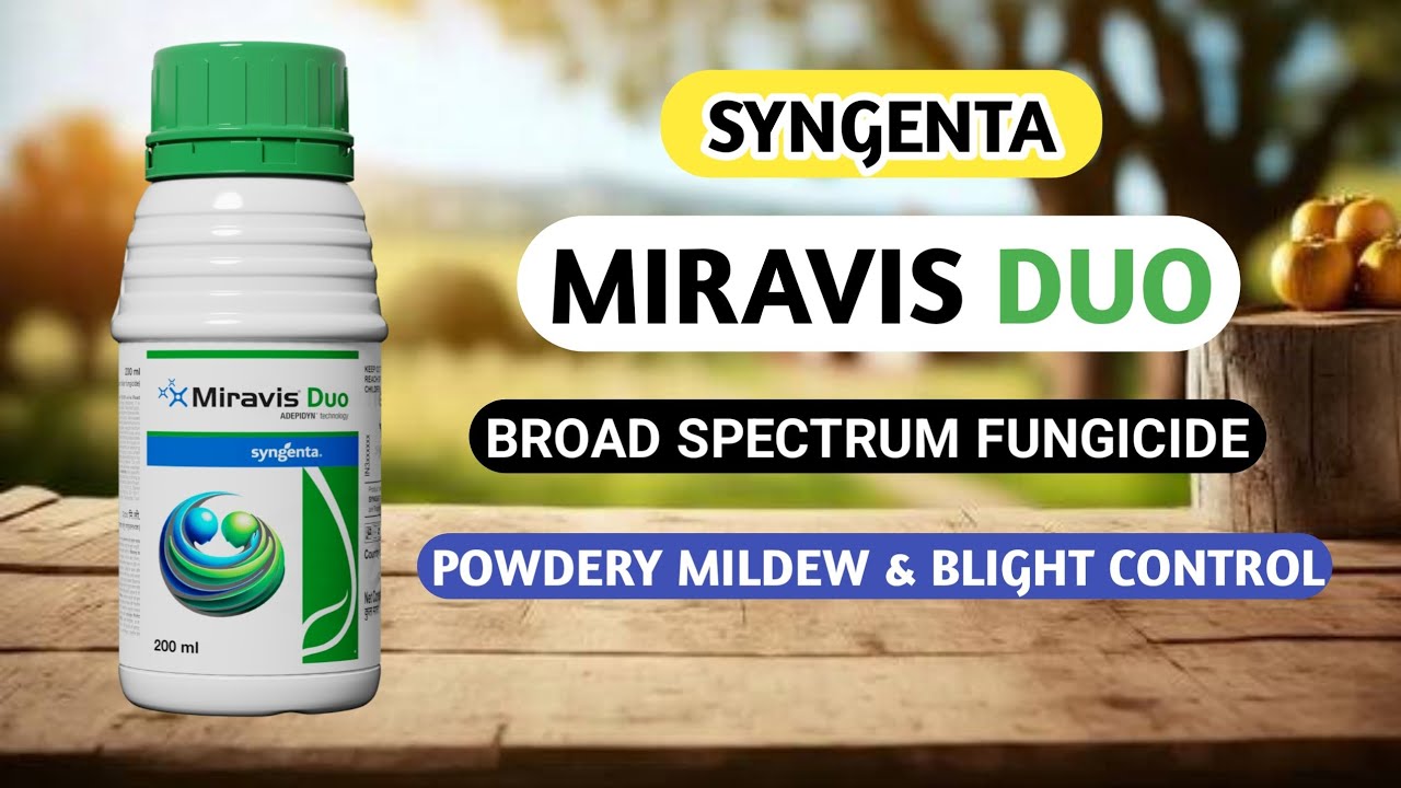Miravis duo syngenta | Miravis duo fungicide | Syngenta company ...