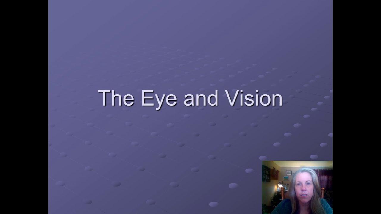 The Eye and Vision Part 1 Narrated Lecture - YouTube