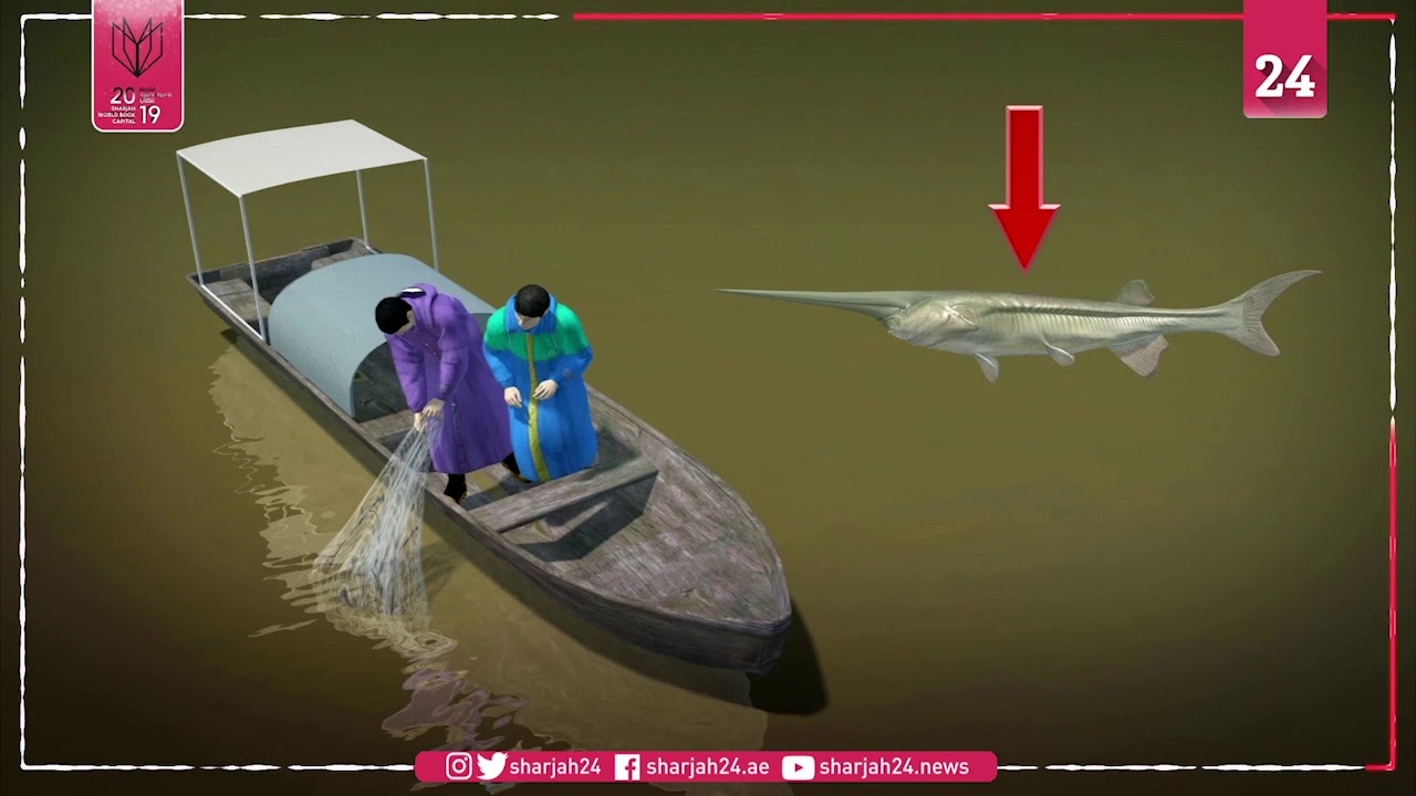 Chinese Giant Paddlefish
