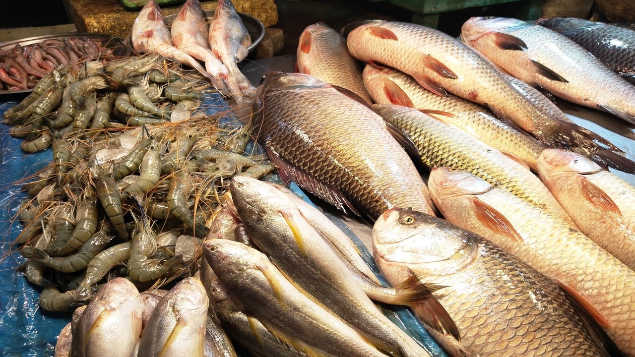 Fish Price Today দেখুন বর্তমান বাজারে চিংড়ি,রুই,কাতল,পোয়া,আইড়, পাবদা ...