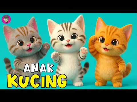 Anak Kucing Meong-Meong Lagu Anak Anak Ceria dan Lucu, Lagu Anak & Balita Terbaru